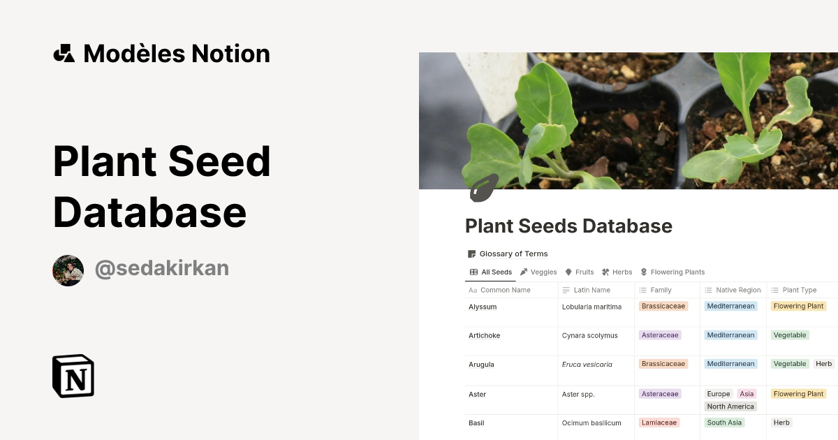 Modèle Plant Seed Database | Marketplace Notion