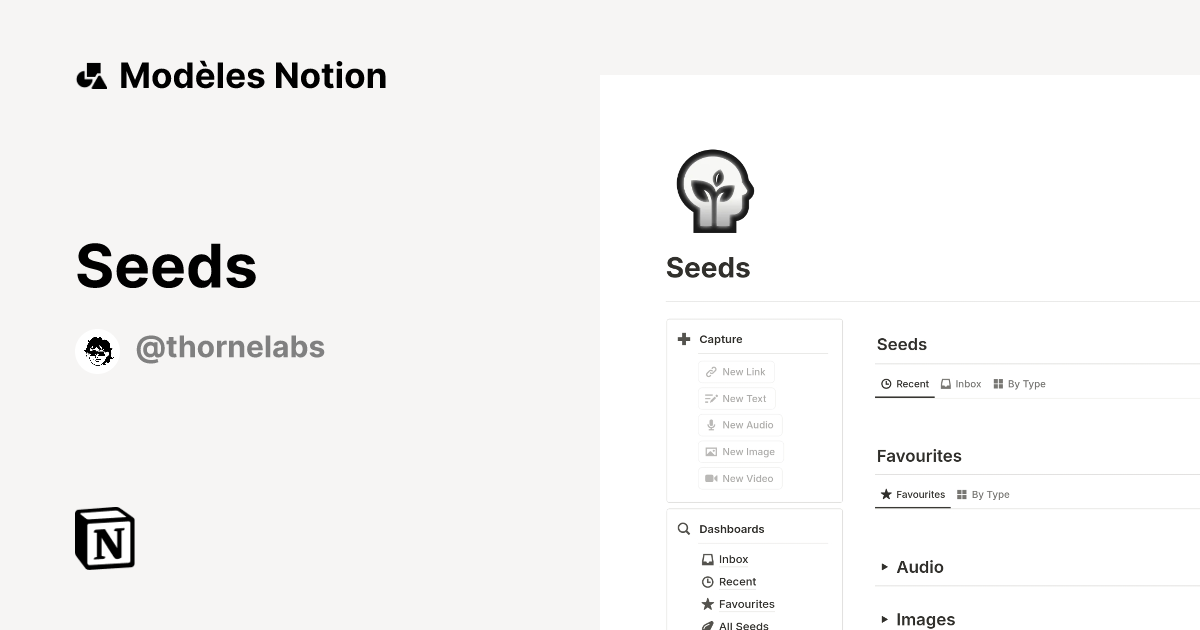 Modèle Seeds | Marketplace Notion