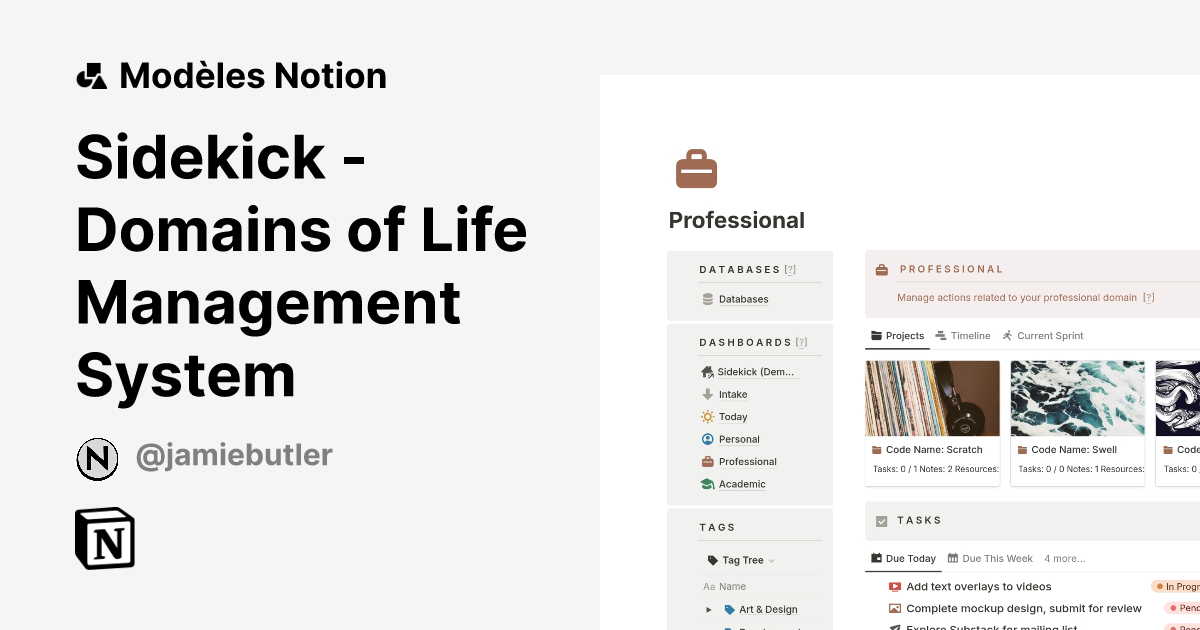 Sidekick - Domains of Life Management System | Modèle créé par Jamie ...