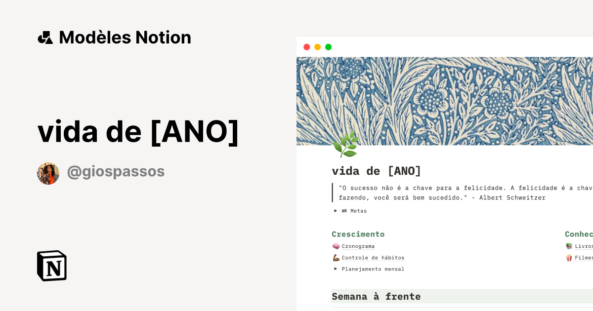 vida de [ANO] | Modèle créé par Gi Passos | Marketplace Notion