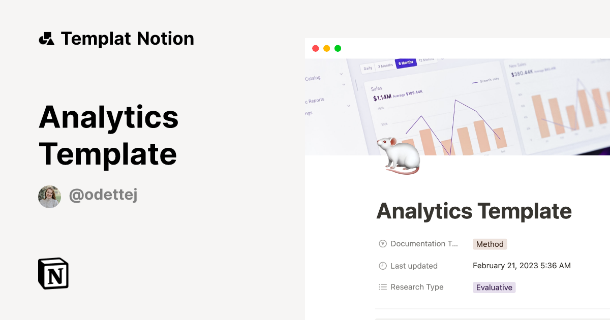 Templat Analytics Template | Notion Marketplace