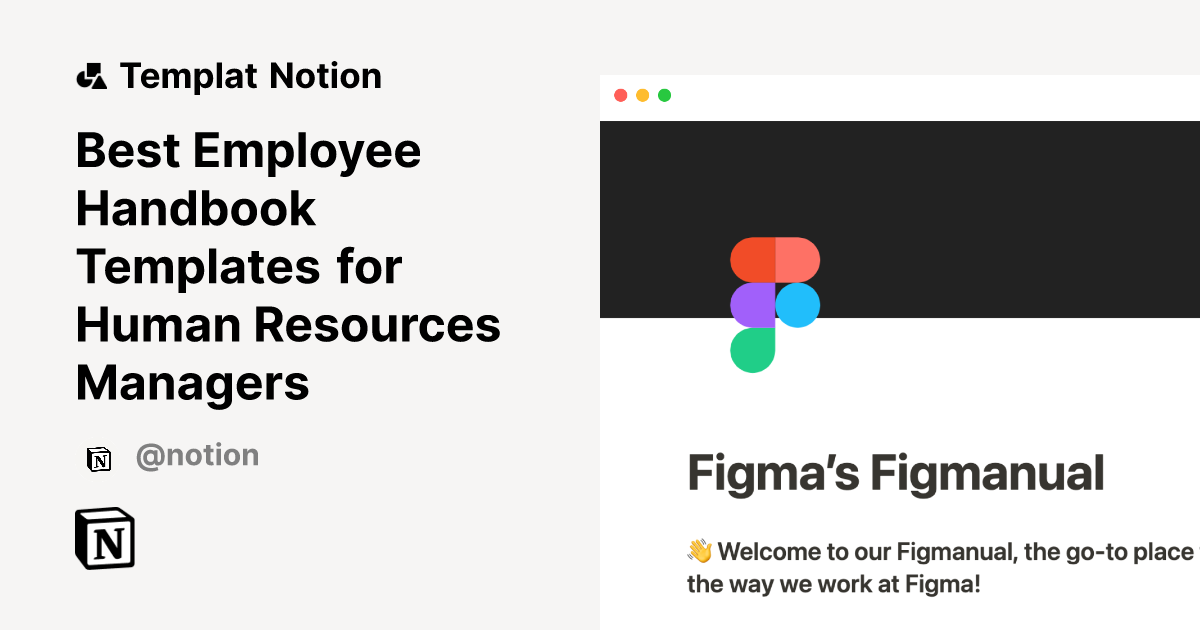 Best Employee Handbook Templates for Human Resources Managers | Notion ...