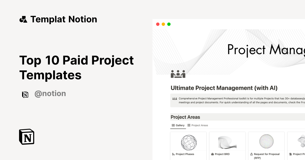 Top 10 Paid Project Templates | Notion Marketplace Templat