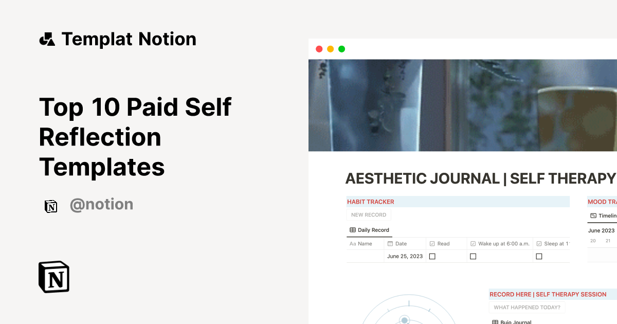Top 10 Paid Self Reflection Templates | Notion Marketplace Templat