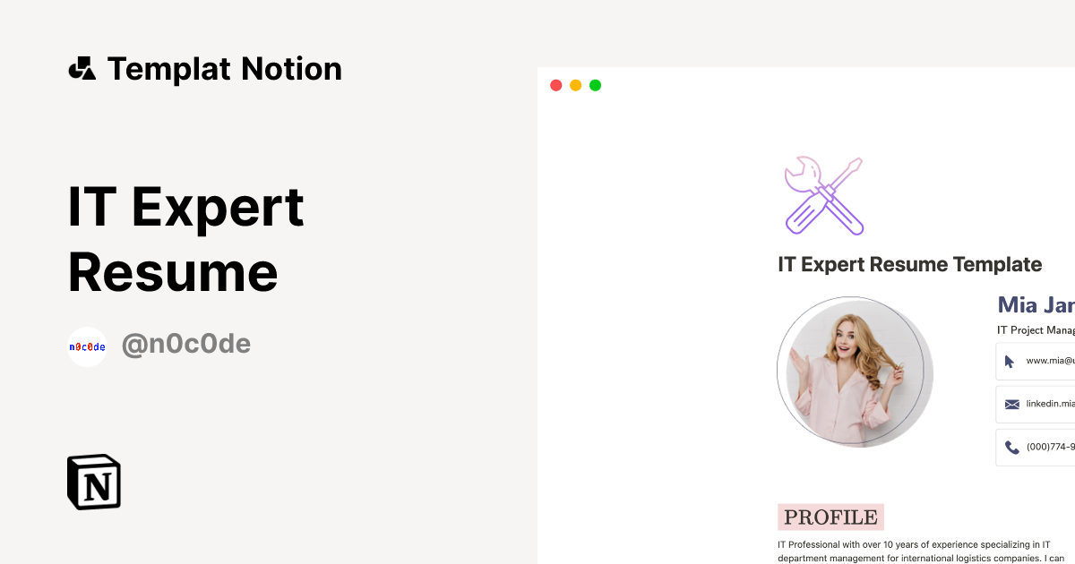 IT Expert Resume Templat oleh n0c0de | Notion Marketplace