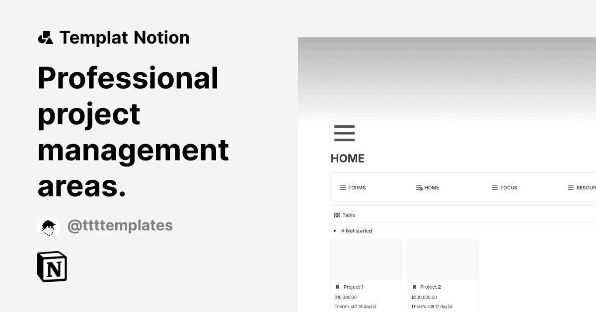 Templat Professional project management areas. | Notion Marketplace