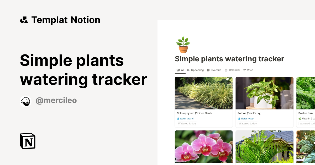 Simple plants watering tracker Templat oleh Léo | Notion Marketplace