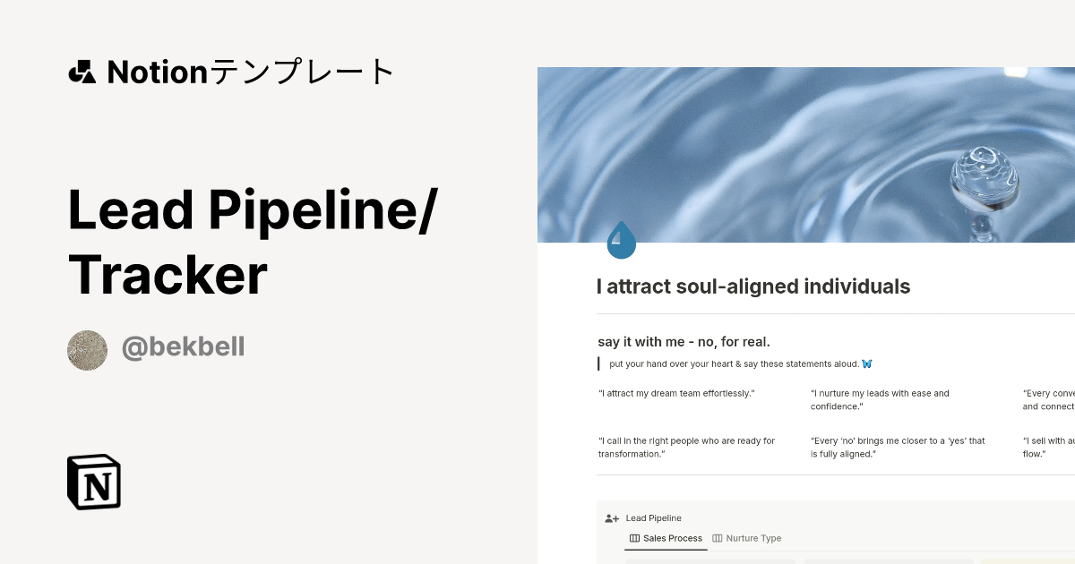 Lead Pipeline/Trackerテンプレート | Notion (ノーション)マーケットプレイス