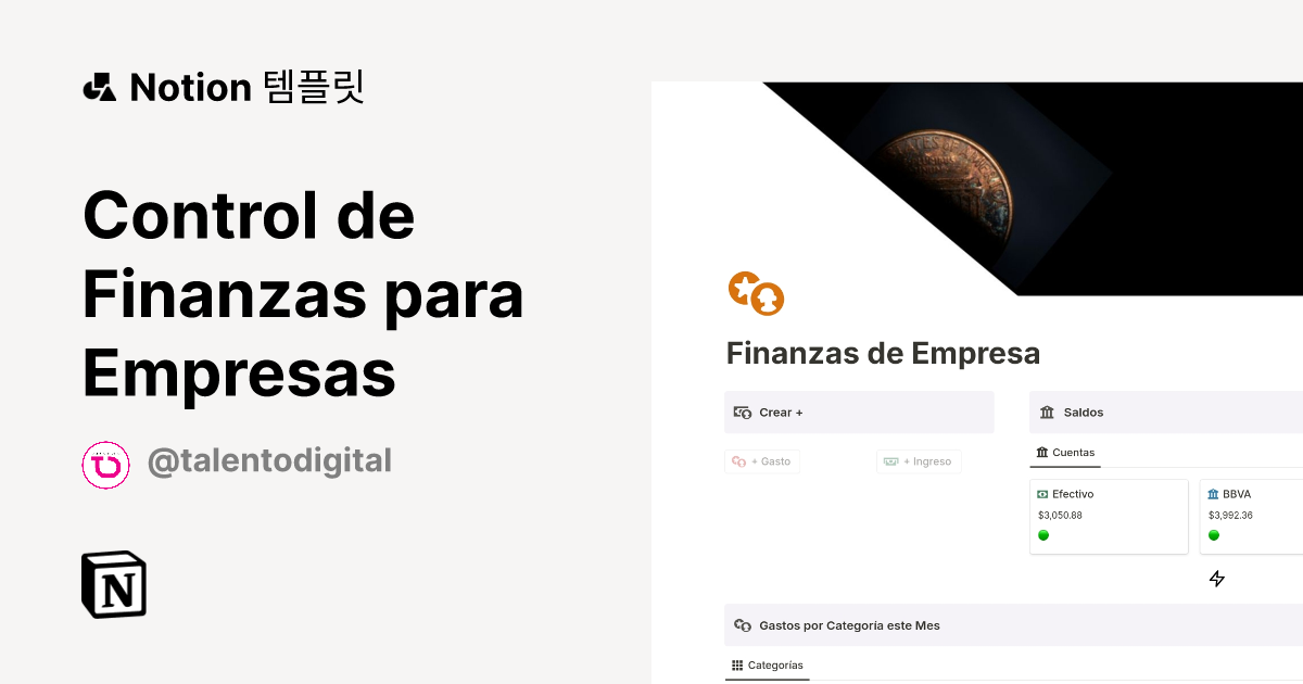 Control de Finanzas para Empresas 템플릿 | Notion (노션) 마켓플레이스