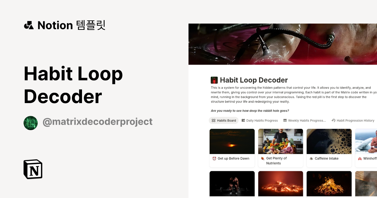 Habit Loop Decoder 템플릿 | Notion (노션) 마켓플레이스
