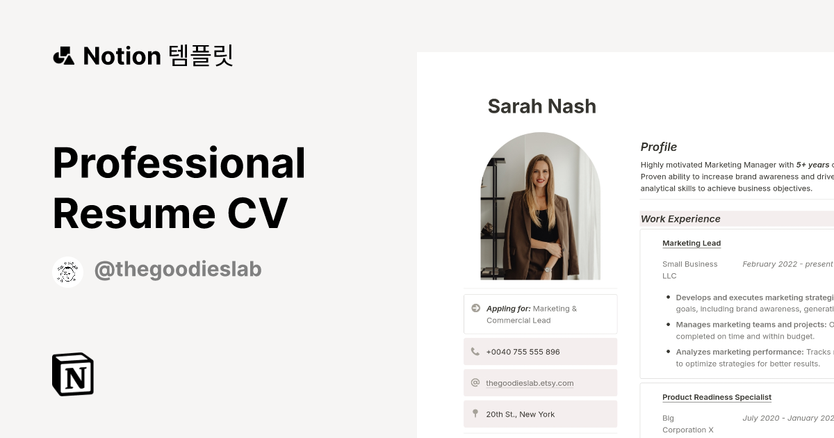Professional Resume CV 템플릿 제작자 The Goodies Lab | Notion (노션) 마켓플레이스