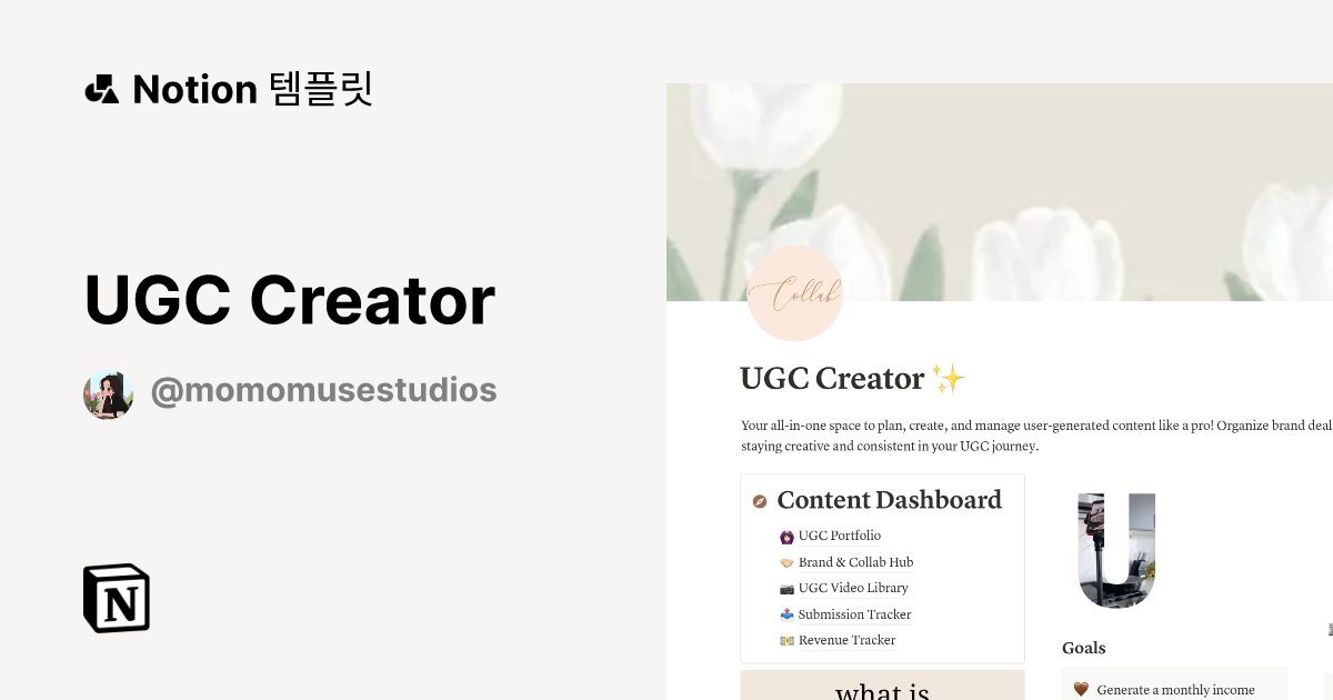 UGC Creator 템플릿 제작자 momomuse studio | Notion (노션) 마켓플레이스