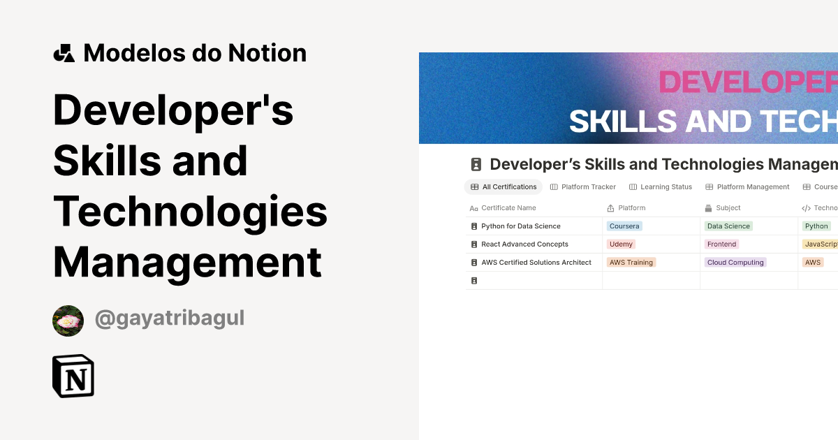 Modelo Developer's Skills and Technologies Management | Marketplace do Notion