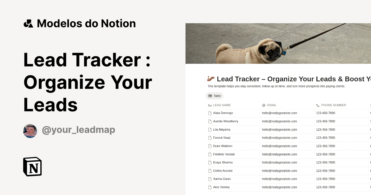 Modelo Lead Tracker : Organize Your Leads | Marketplace do Notion