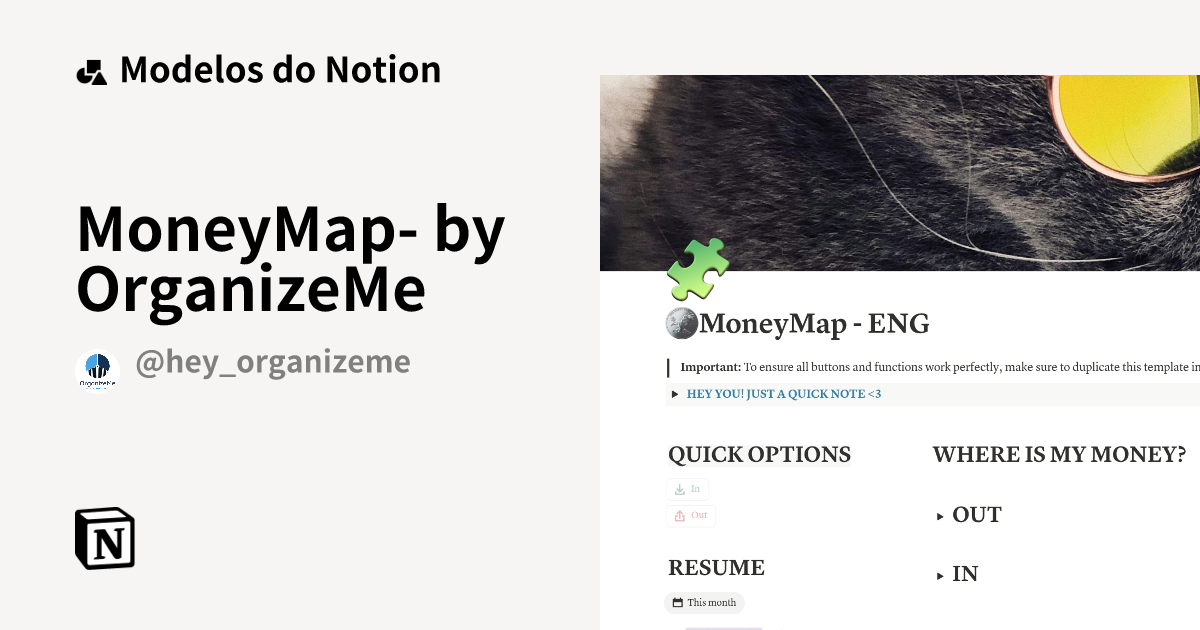 Modelo MoneyMap- by OrganizeMe | Marketplace do Notion