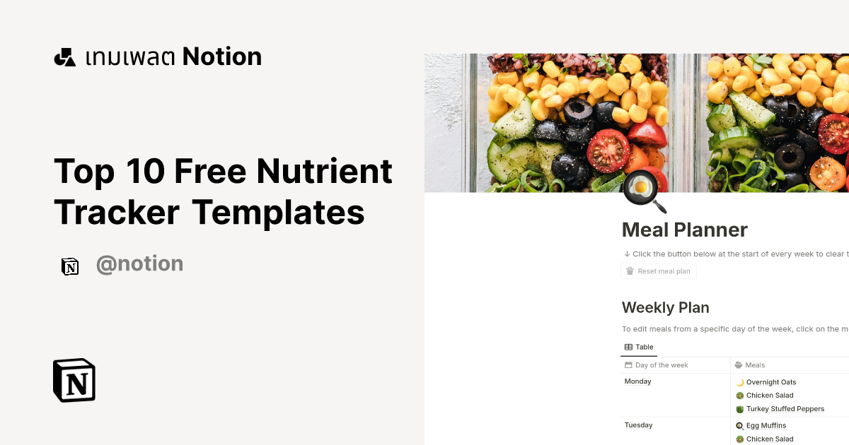 Top 10 Free Nutrient Tracker Templates | มาร์เก็ตเพลสเทมเพลต Notion