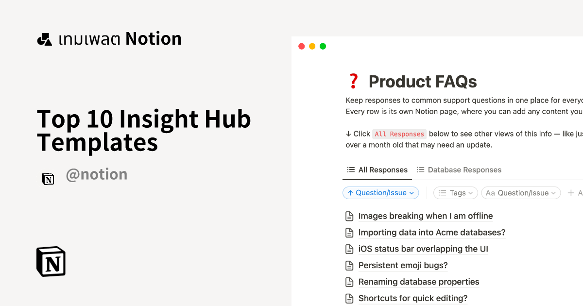 Top 10 Insight Hub Templates | มาร์เก็ตเพลสเทมเพลต Notion