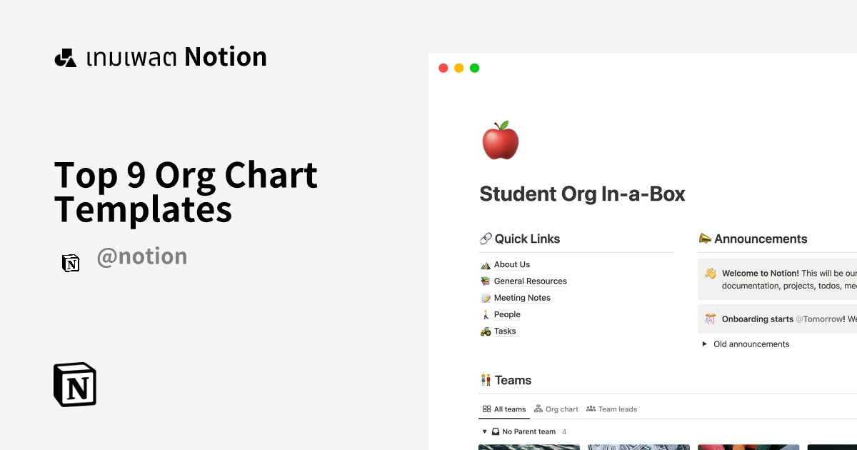 Top 9 Org Chart Templates | มาร์เก็ตเพลสเทมเพลต Notion