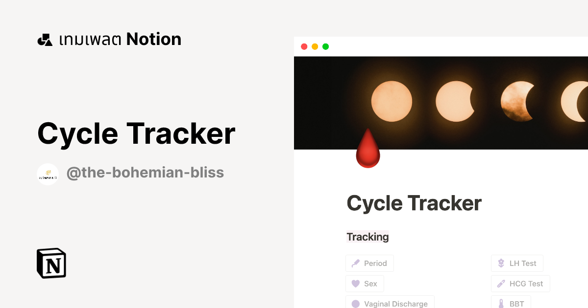 เทมเพลต Cycle Tracker | มาร์เก็ตเพลส Notion