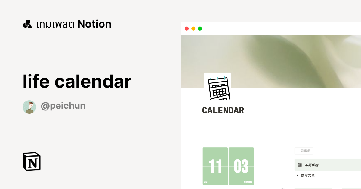 เทมเพลต life calendar | มาร์เก็ตเพลส Notion