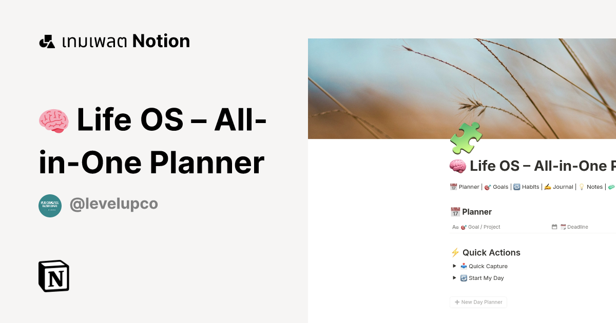 เทมเพลต 🧠 Life OS – All-in-One Planner โดย Level Up Co | มาร์เก็ตเพลส ...