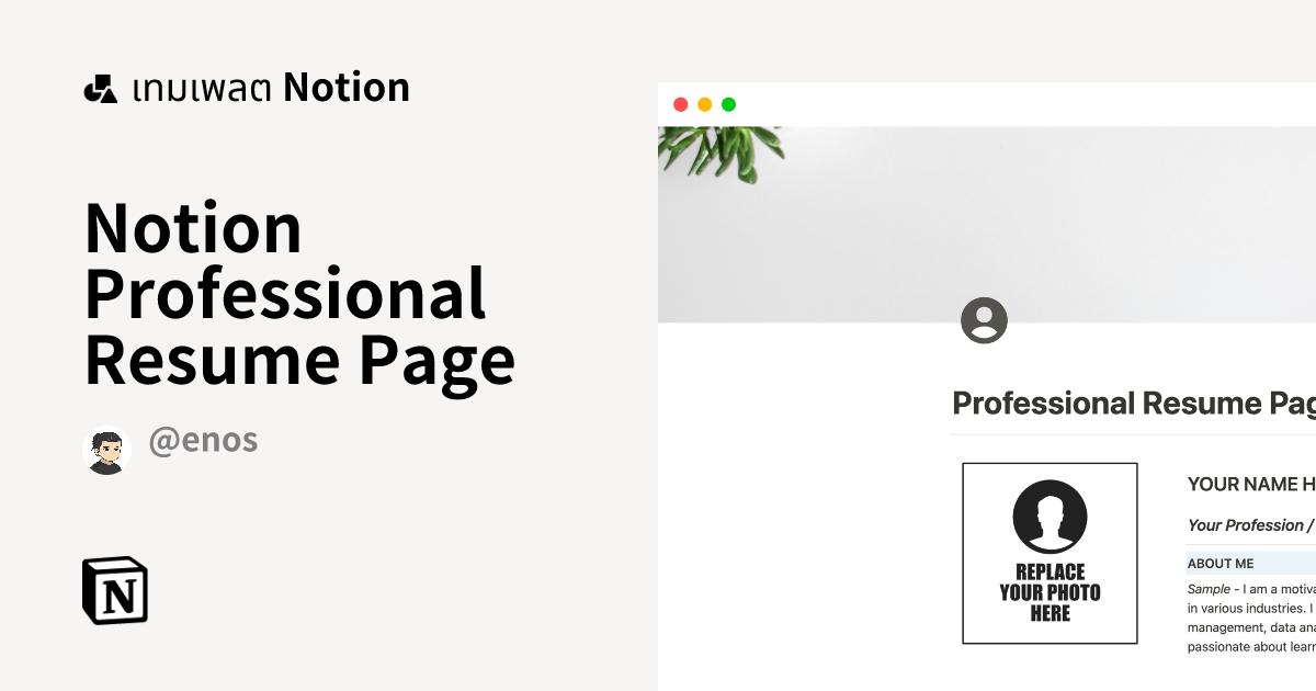 เทมเพลต Notion Professional Resume Page | มาร์เก็ตเพลส Notion