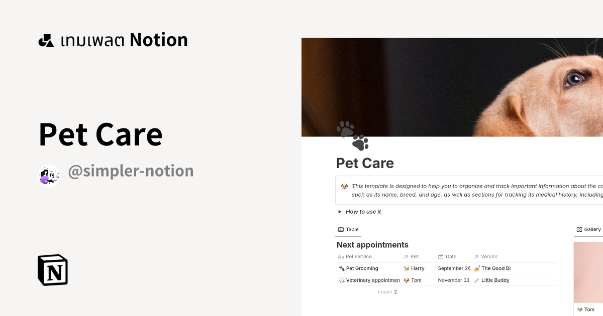 เทมเพลต Pet Care | มาร์เก็ตเพลส Notion