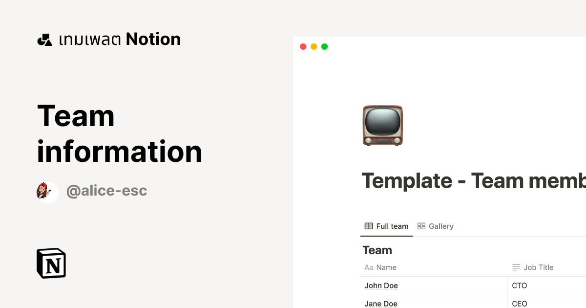 เทมเพลต Team information | มาร์เก็ตเพลส Notion