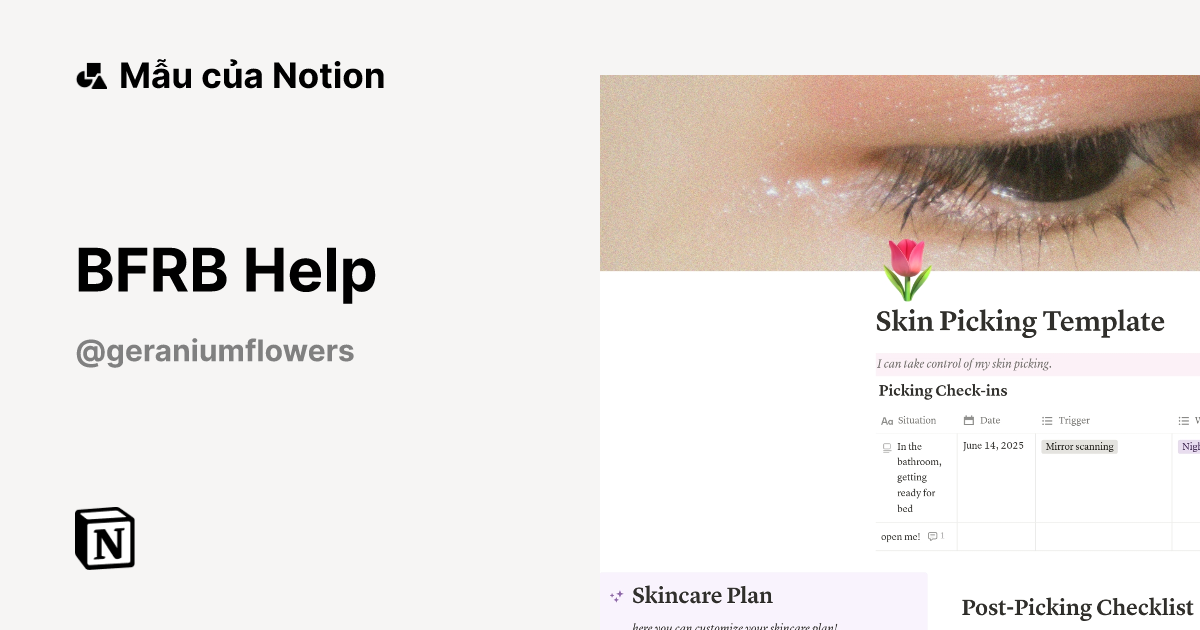 Mẫu BFRB Help | Thị trường Notion