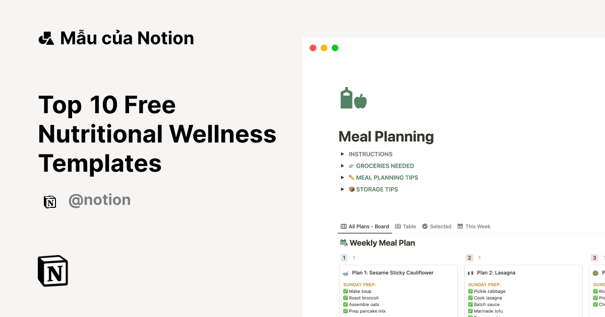 Top 10 Free Nutritional Wellness Templates | Thị trường mẫu Notion