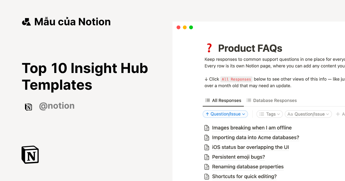 Top 10 Insight Hub Templates | Thị trường mẫu Notion