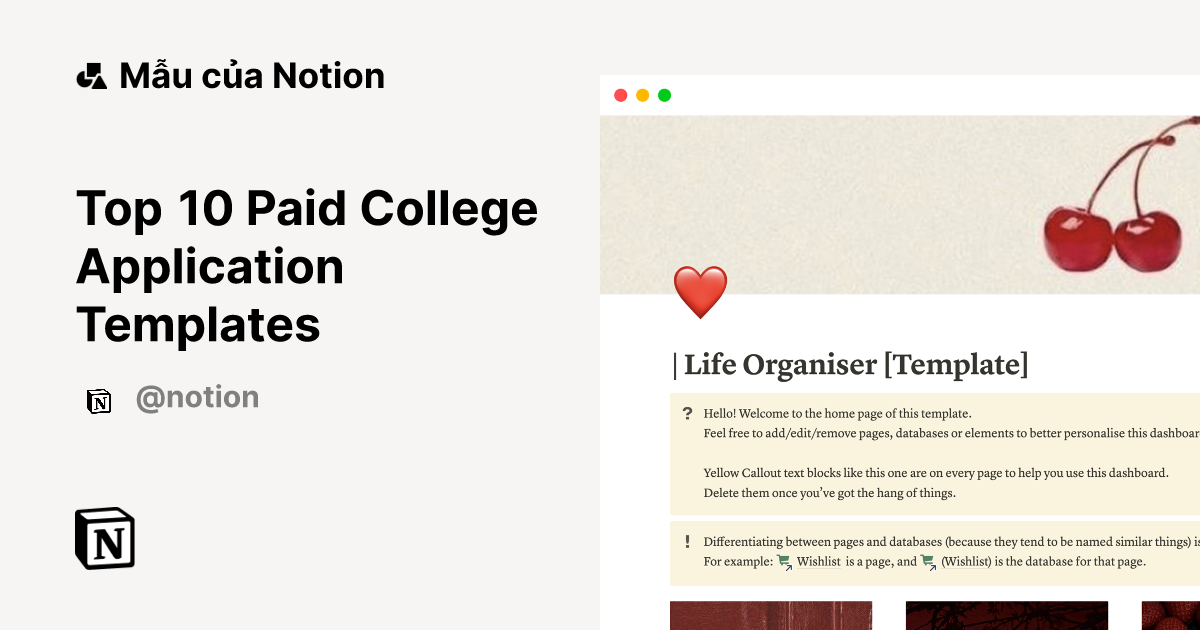 Top 10 Paid College Application Templates | Thị trường mẫu Notion