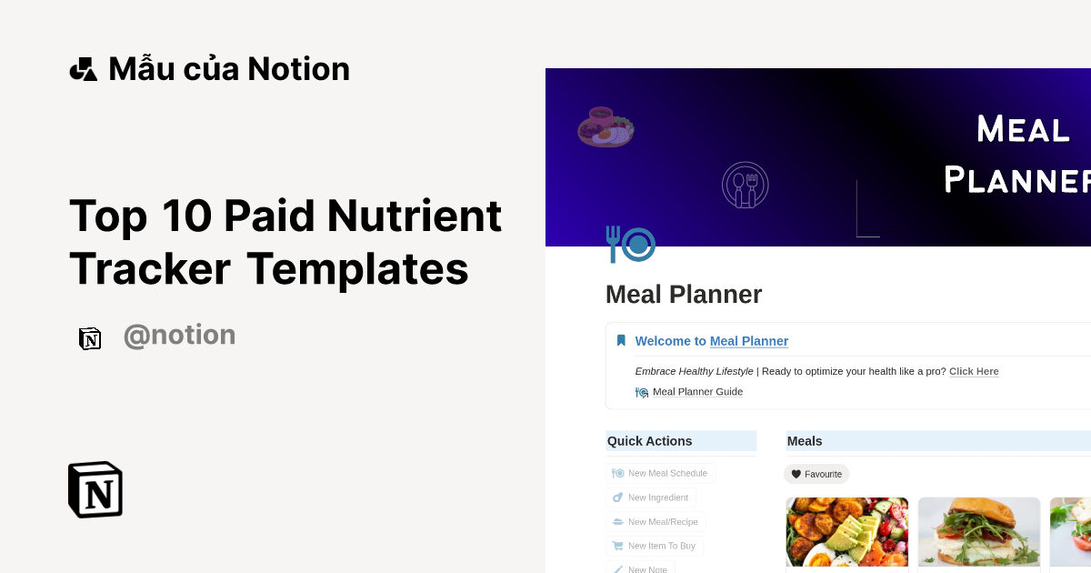 Top 10 Paid Nutrient Tracker Templates | Thị trường mẫu Notion