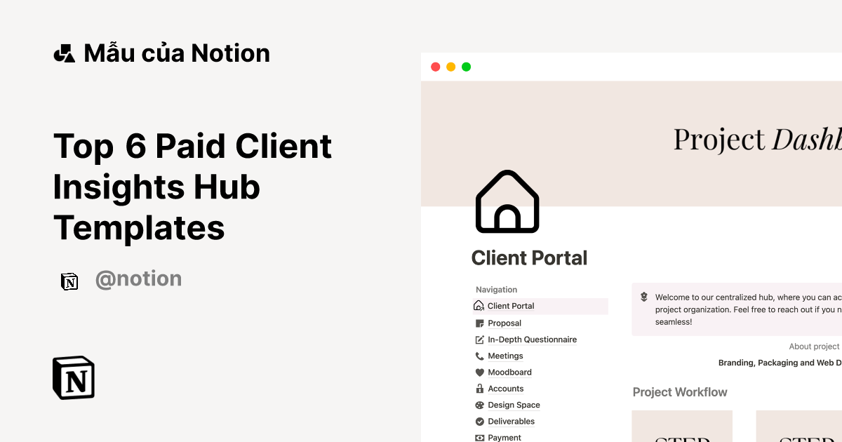 Top 6 Paid Client Insights Hub Templates | Thị trường mẫu Notion