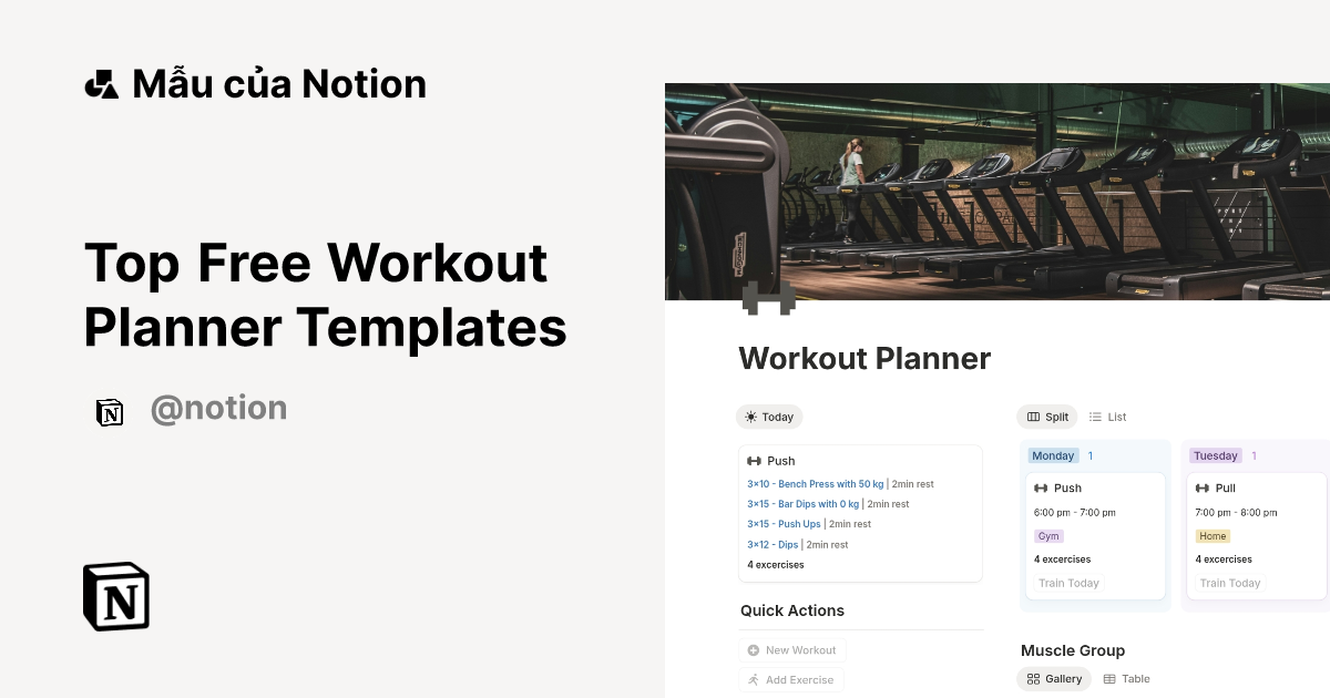 Top Free Workout Planner Templates | Thị trường mẫu Notion