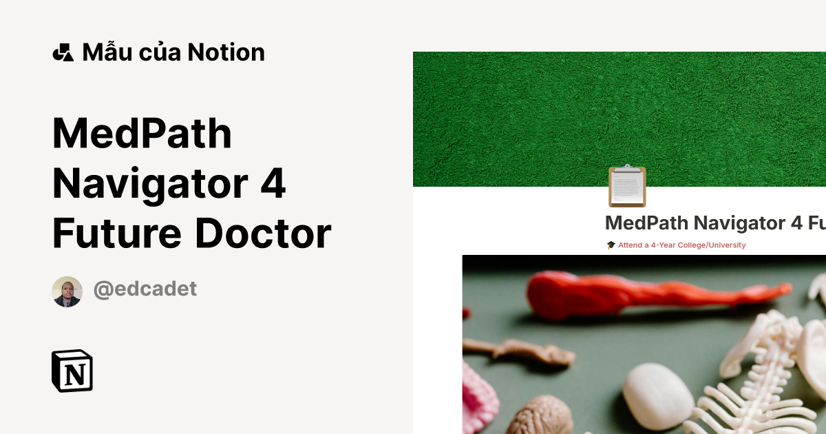 Mẫu MedPath Navigator 4 Future Doctor | Thị trường Notion