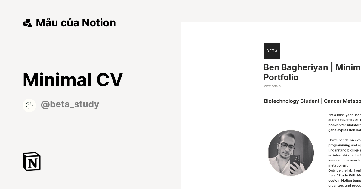 Mẫu Minimal CV | Thị trường Notion