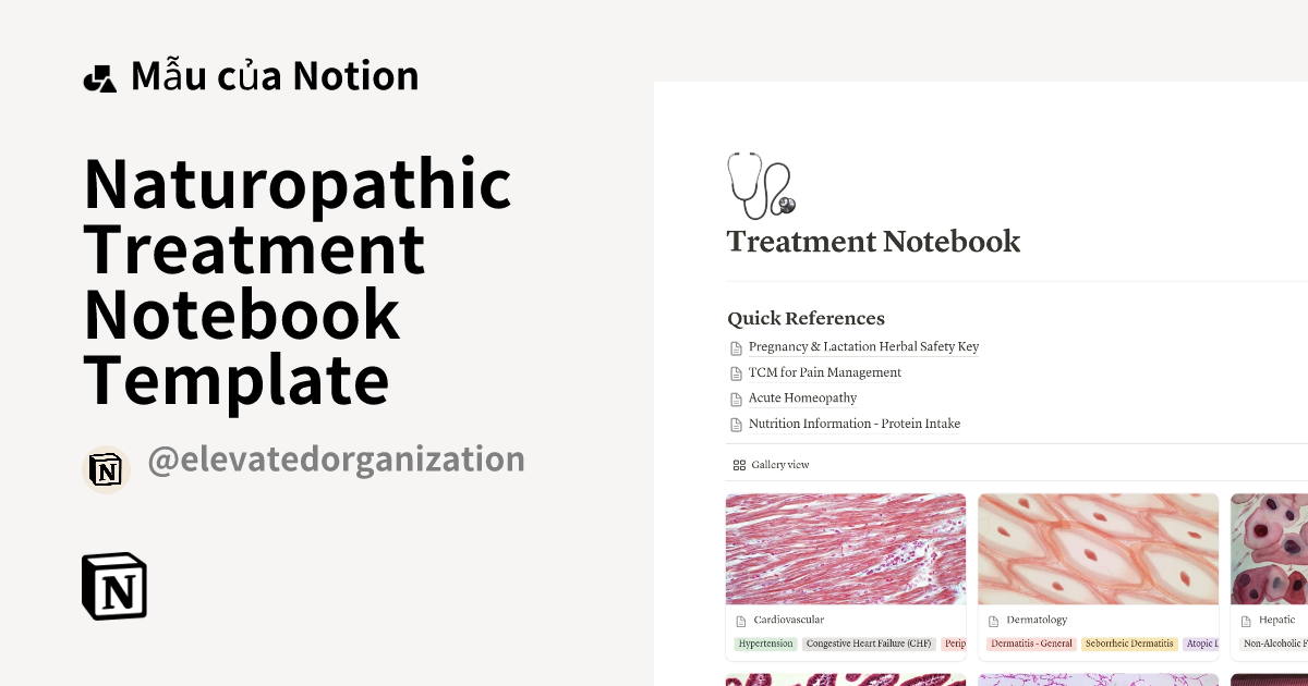 Mẫu Naturopathic Treatment Notebook Template | Thị trường Notion