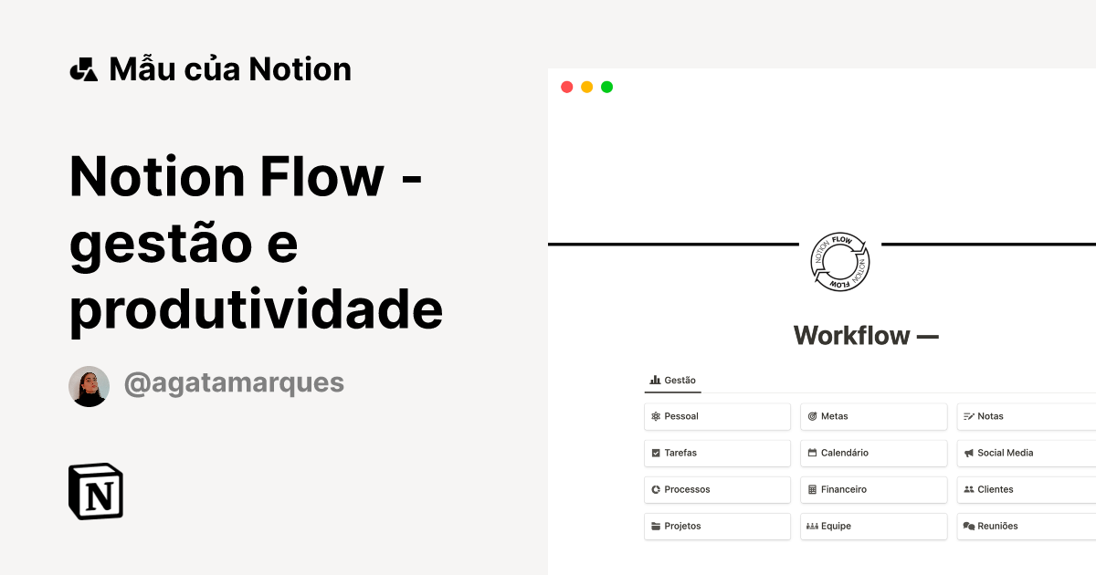 Notion Flow - gestão e produtividade Mẫu do Ágata Marques tạo | Thị trường Notion