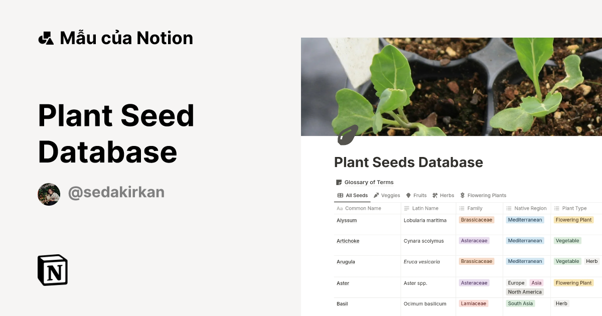 Mẫu Plant Seed Database | Thị trường Notion