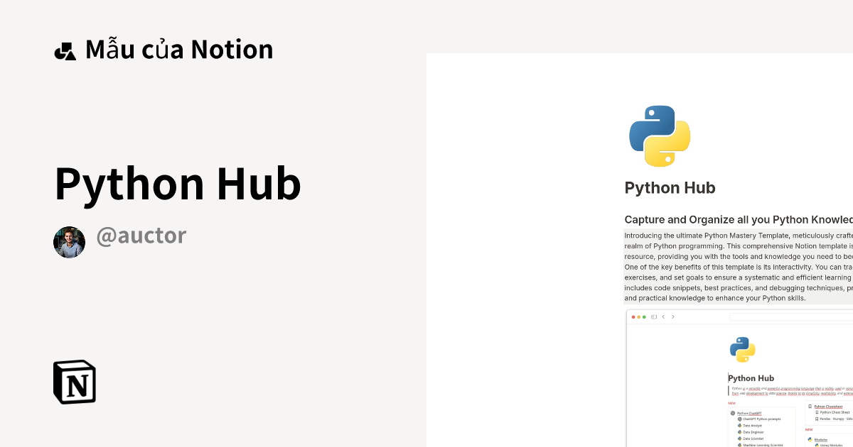 Mẫu Python Hub | Thị trường Notion