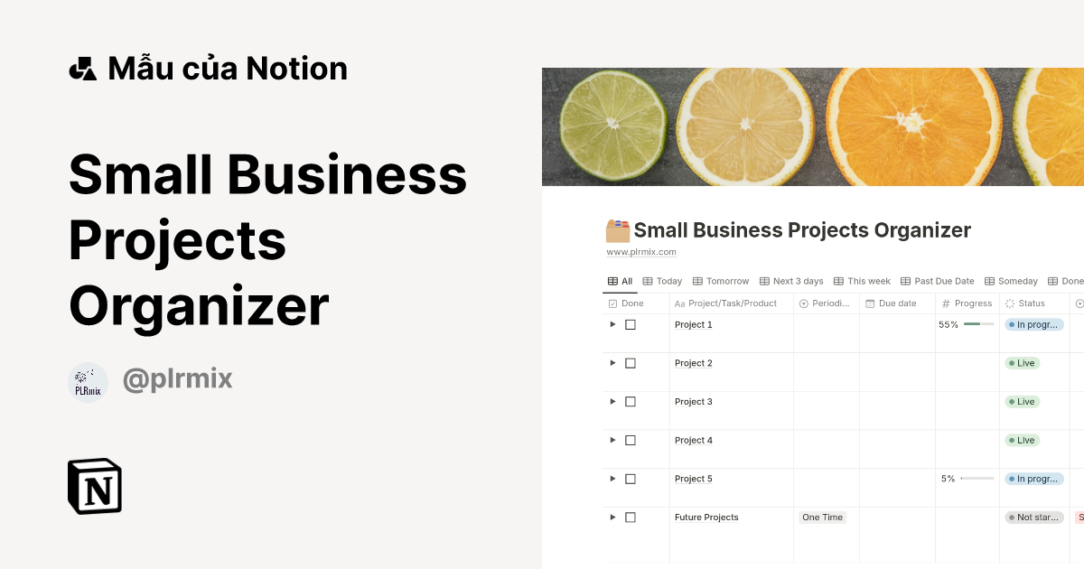 Mẫu Small Business Projects Organizer | Thị trường Notion