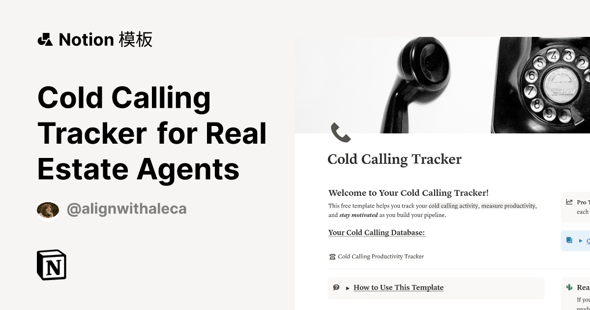 来自 Align with Aleca 的 Cold Calling Tracker for Real Estate Agents 模板 ...