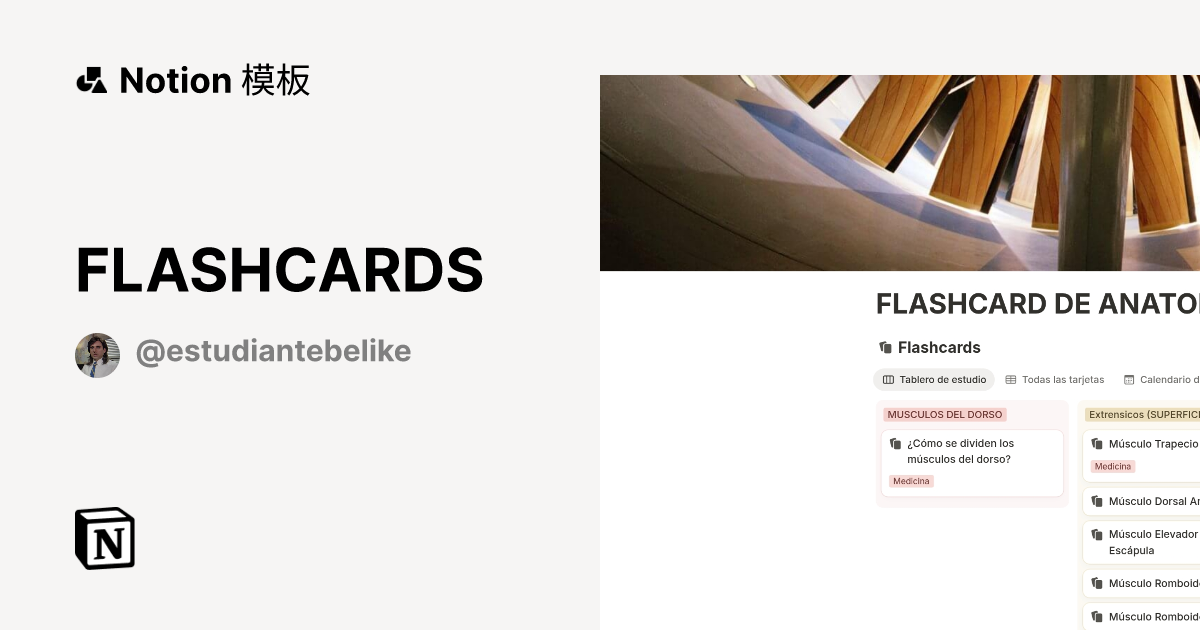 FLASHCARDS 模板 | Notion 市集