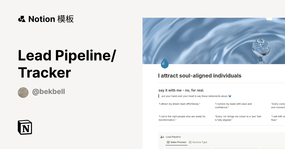 Lead Pipeline/Tracker 模板 | Notion 市集