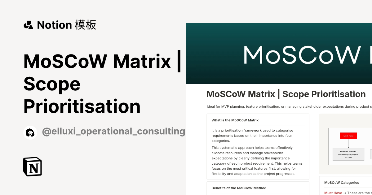 来自 Elluxi Operational Consulting 的 MoSCoW Matrix | Scope Prioritisation ...