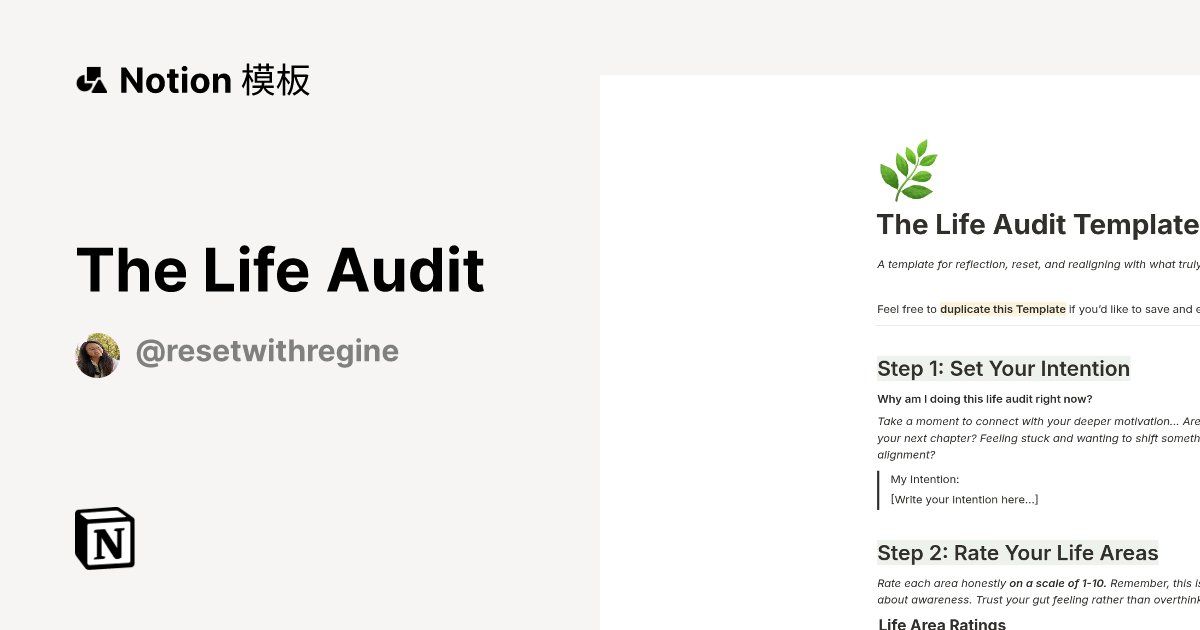 来自 Regine 的 The Life Audit 模板｜Notion市集